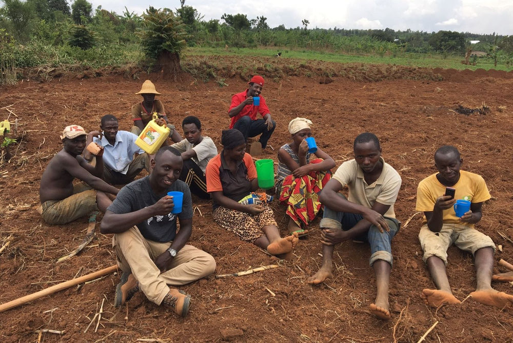 In Rwanda, agricultural reforms boost food security and slash poverty