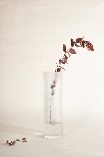 PALLAS high transparent | Garnier & Linker