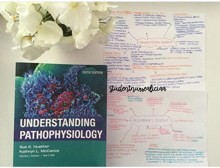 How to study for Pathophysiology + TIPS!