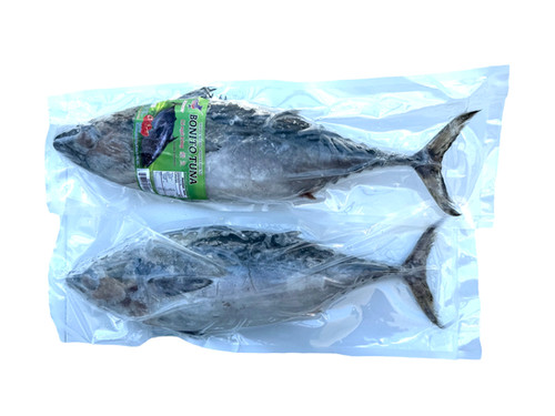 FF 00095 BONITA FISH 2-4 (CÁ NGỪ) | Gulf Coast Sea Trade