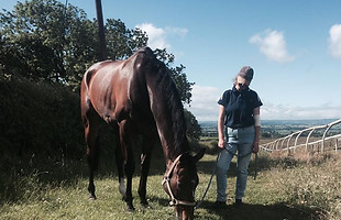 David Thompson Racing - SOUTH VIEW FARM, BOLAM, DARLINGTON, DL2 2UP