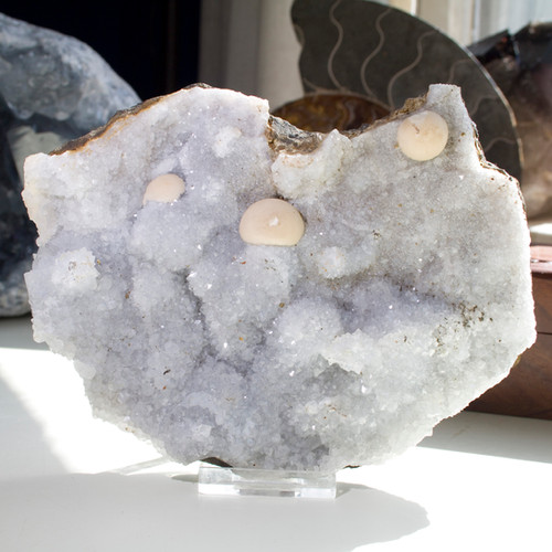 Botryoidal Fluorite on Quartz | Studio Mineralia