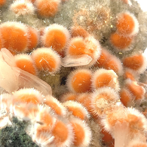 Spectacularly Spiked Orange Botryoidal Mesolite | Studio Mineralia