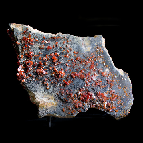 Large Vanadinite on Black Goethite Matrix | Studio Mineralia