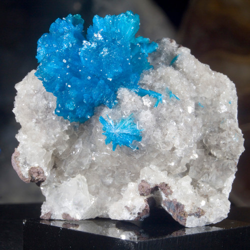 Large Cavansite Cluster with rhombohedral Calcite | Studio Mineralia