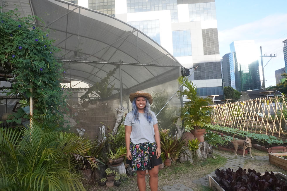 Urban Farmers PH: Inspiring the future generation of urban farmers