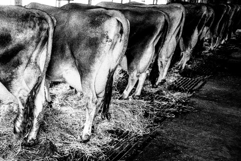 Matagi | Hajime Kimura 木村肇 | Japan