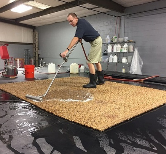 Cleaning Sisal Rugs Pet Stains | Bryont Blog