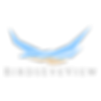 BirdsEyeView | About Us