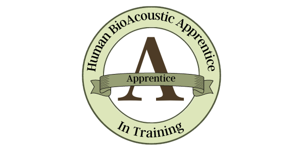 Beginner class | BioAcoustic Solution