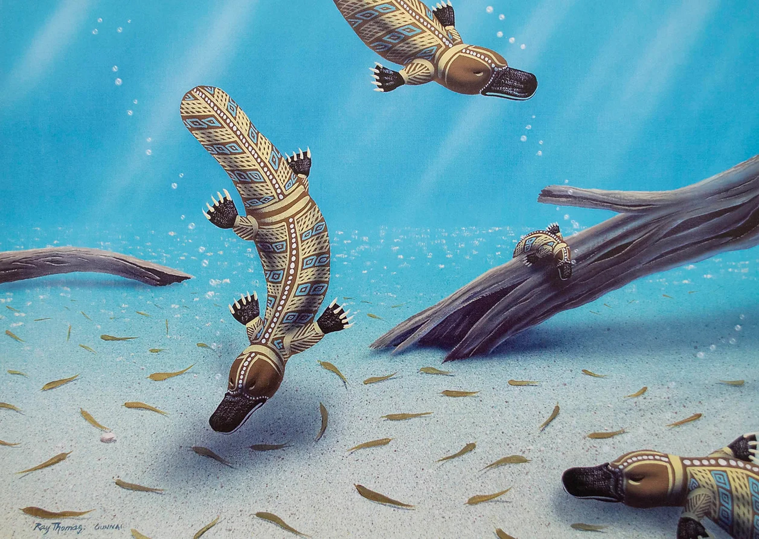 Ray Thomas Art Prints