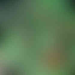 WEON® Active Subwoofer Amplifier System with ADBS Technology | HTAS ...