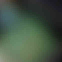 WEON® Active Subwoofer Amplifier System with ADBS Technology | HTAS ...