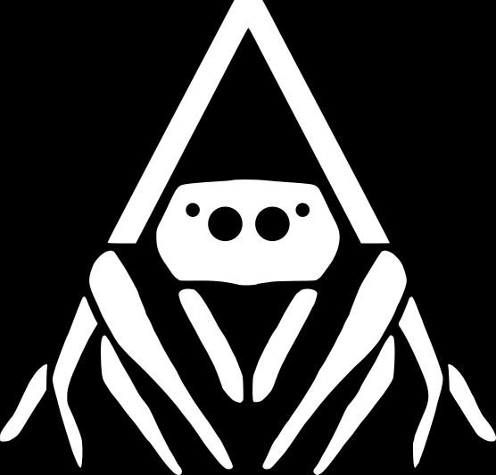 Pet Jumping Spiders Shop UK | Arachnamoria