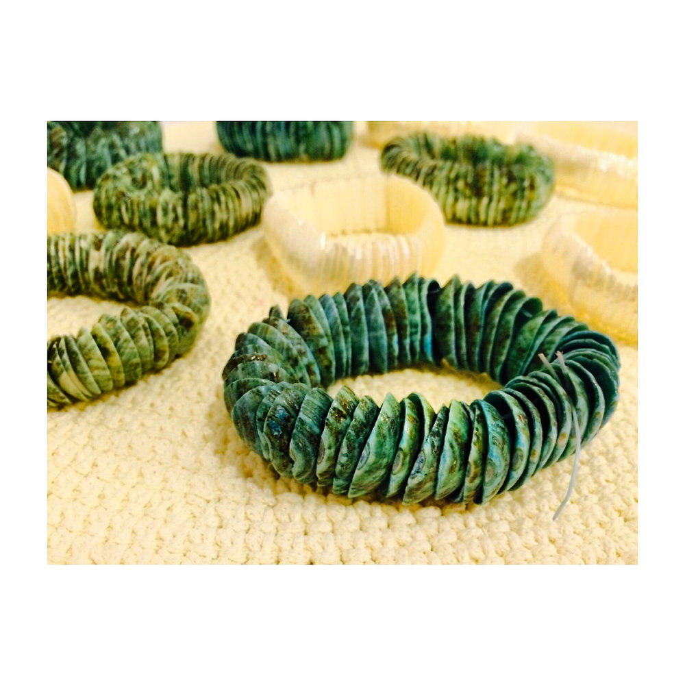THE PHILIPPINES SEASHELLS