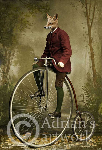 Penny Farthing Fox | downsizeme