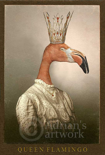 Queen Flamingo | downsizeme