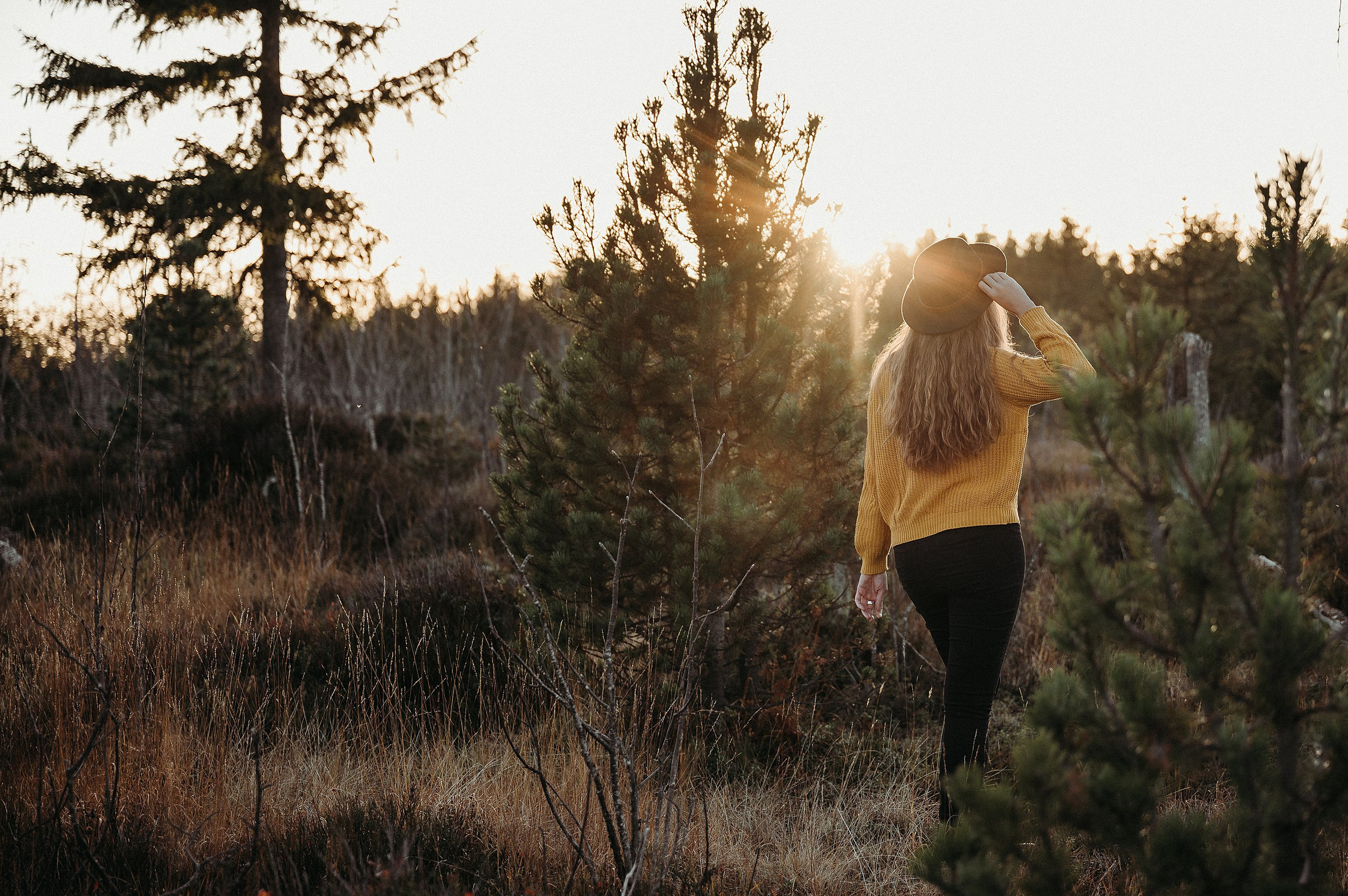 BLOG | Wild Senses Photography