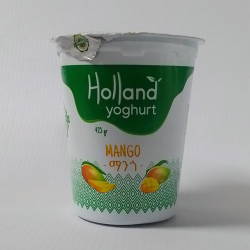 Holland mango yogurt 425 | Arada Mart