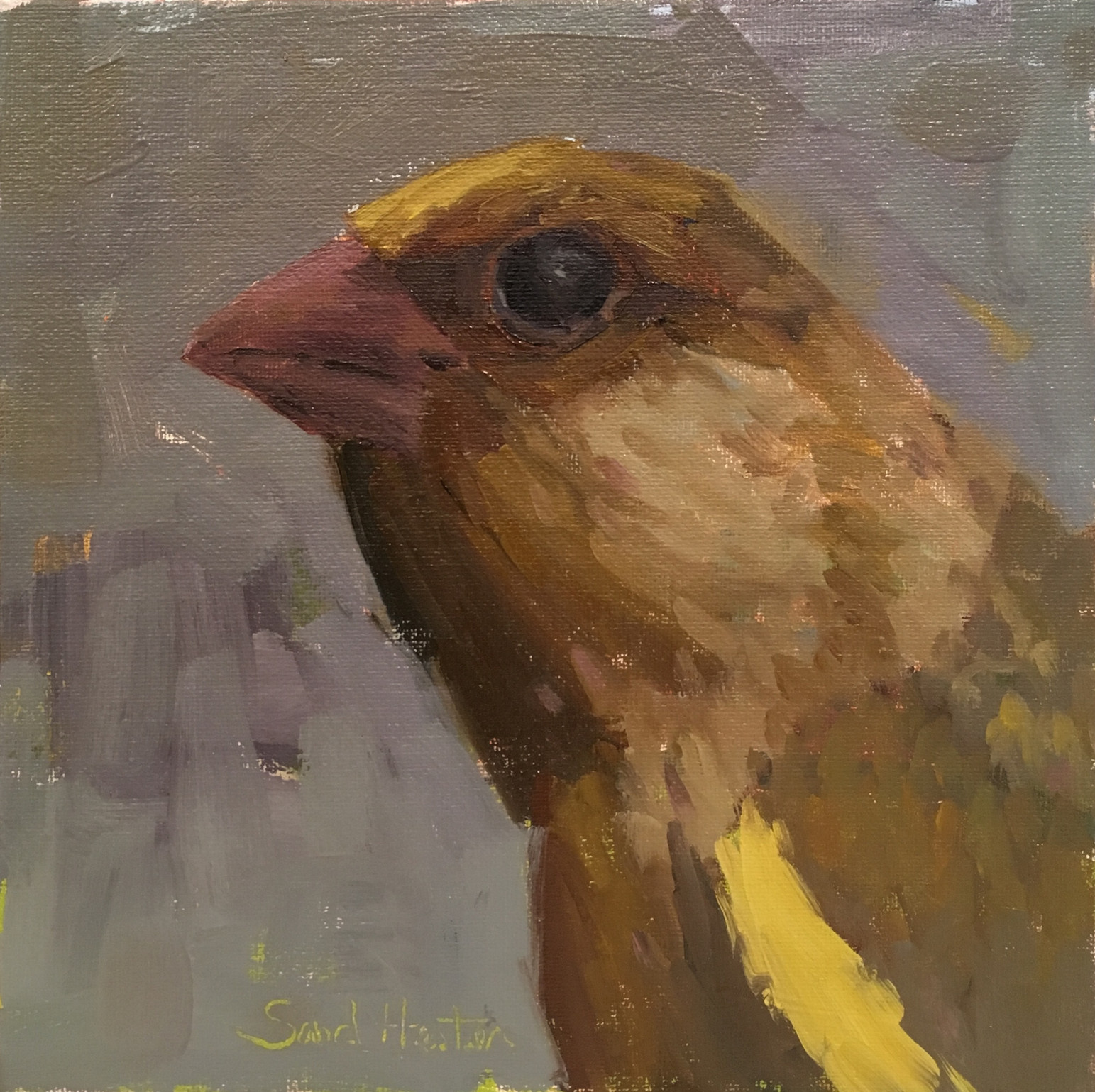 Yellow Bird | 2018-2015