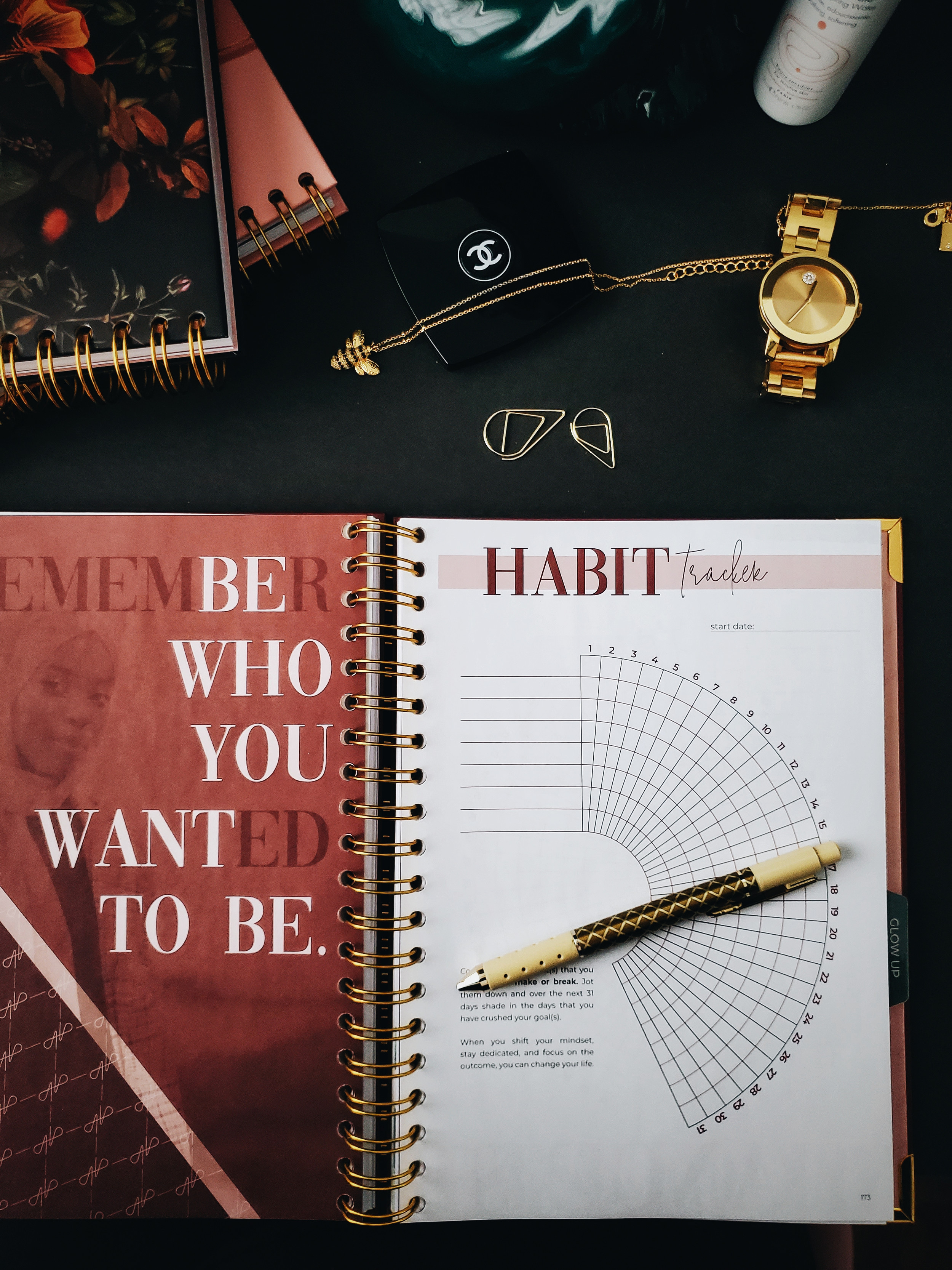 Habit Tracker | The Ambition Planner