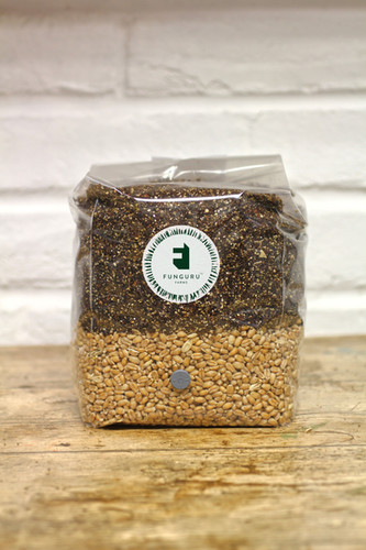 All-in-one Grain Spawn Bulk Substrate. Fully Sterilised | Funguru Farm