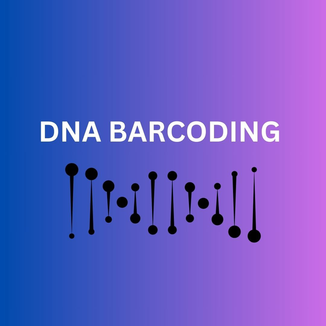 DNA BARCODING | Maine Fungi Fest