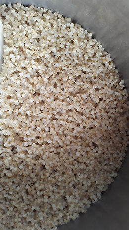 RICE with 'Siri Dhanya' | siridhanya