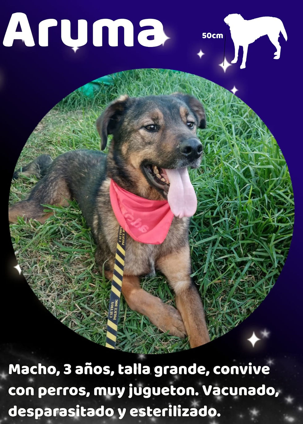 Aruma ♂ | Destinos Diferentes