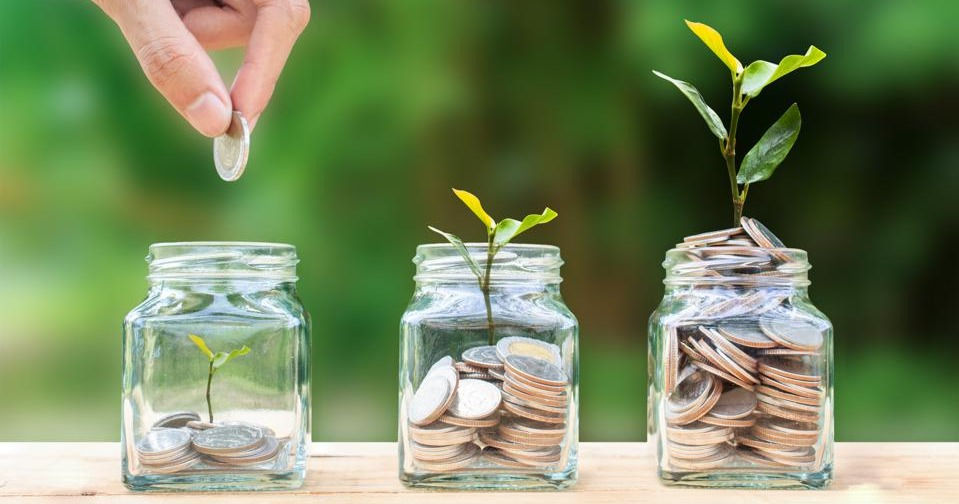 Sustainable Finance 101: How Your Company Can Profit with ...