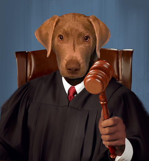 Commissioner Peanut | 3 Rivers Law Center