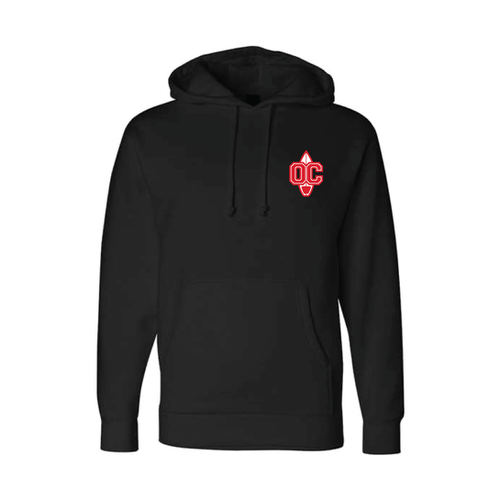 OC Surf Team Heavy Hoodie | PLYLER PREMIUM