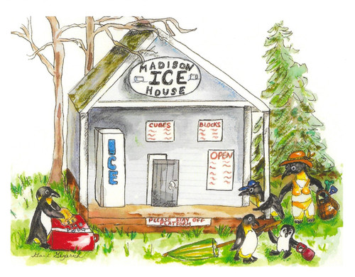 Madison Ice House | Not Just Gnomes