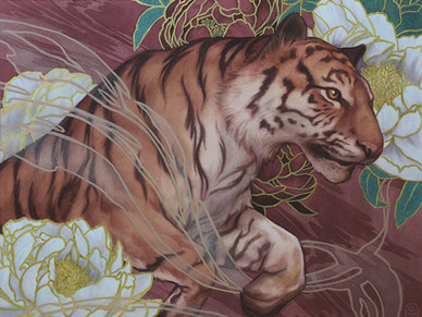 Carissa Susilo Illustration