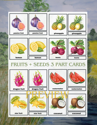 3 part cards | Wonderhaus Garden