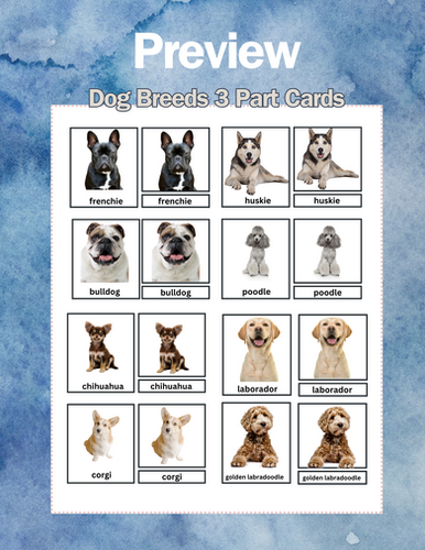 Dog Breeds Montessori 3 Part Cards | Wonderhaus Garden