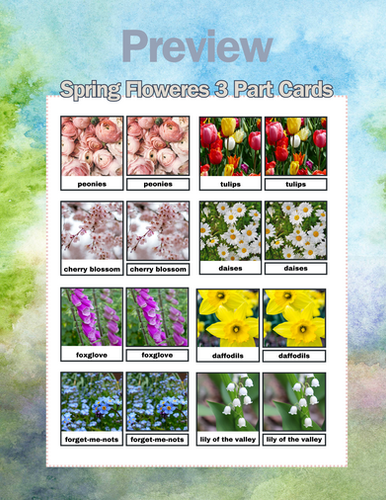 Spring Flowers Montessori Flashcards for Primary | Nomenclature 3 Part ...