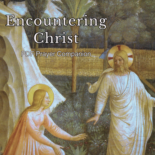 Encountering Christ: Ireland Virtual Group and PDF download | Behold's ...