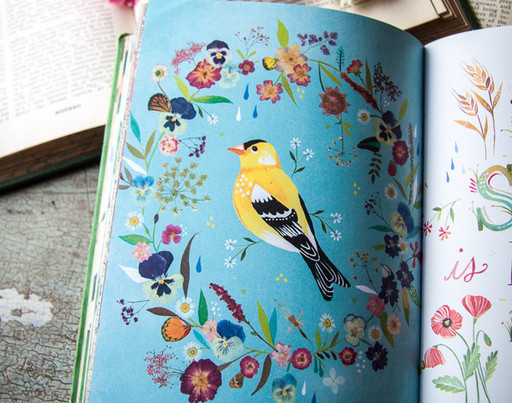 Katie Daisy | Illustrator & Wildflower