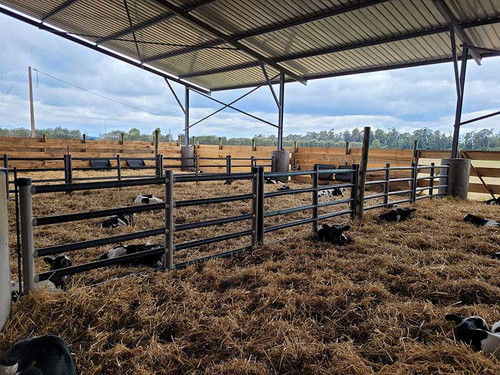 CORRALES GANADEROS | Corrales Chile