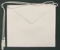 6 Vinyl Candidate Aprons | Regalia