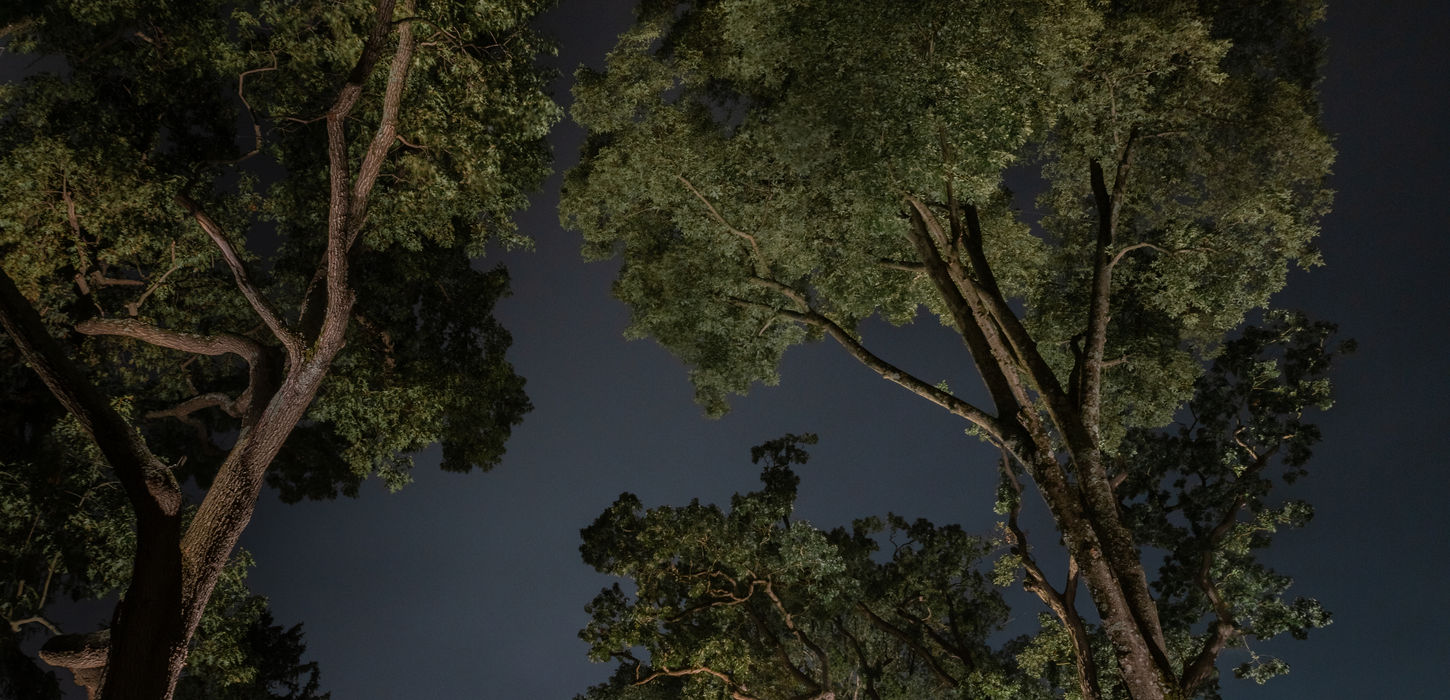 Landscape Lighting Design | Alden Terrace | Yale Moyer Lighting