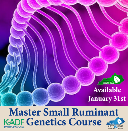 KY Master Sheep and Goat Genetics