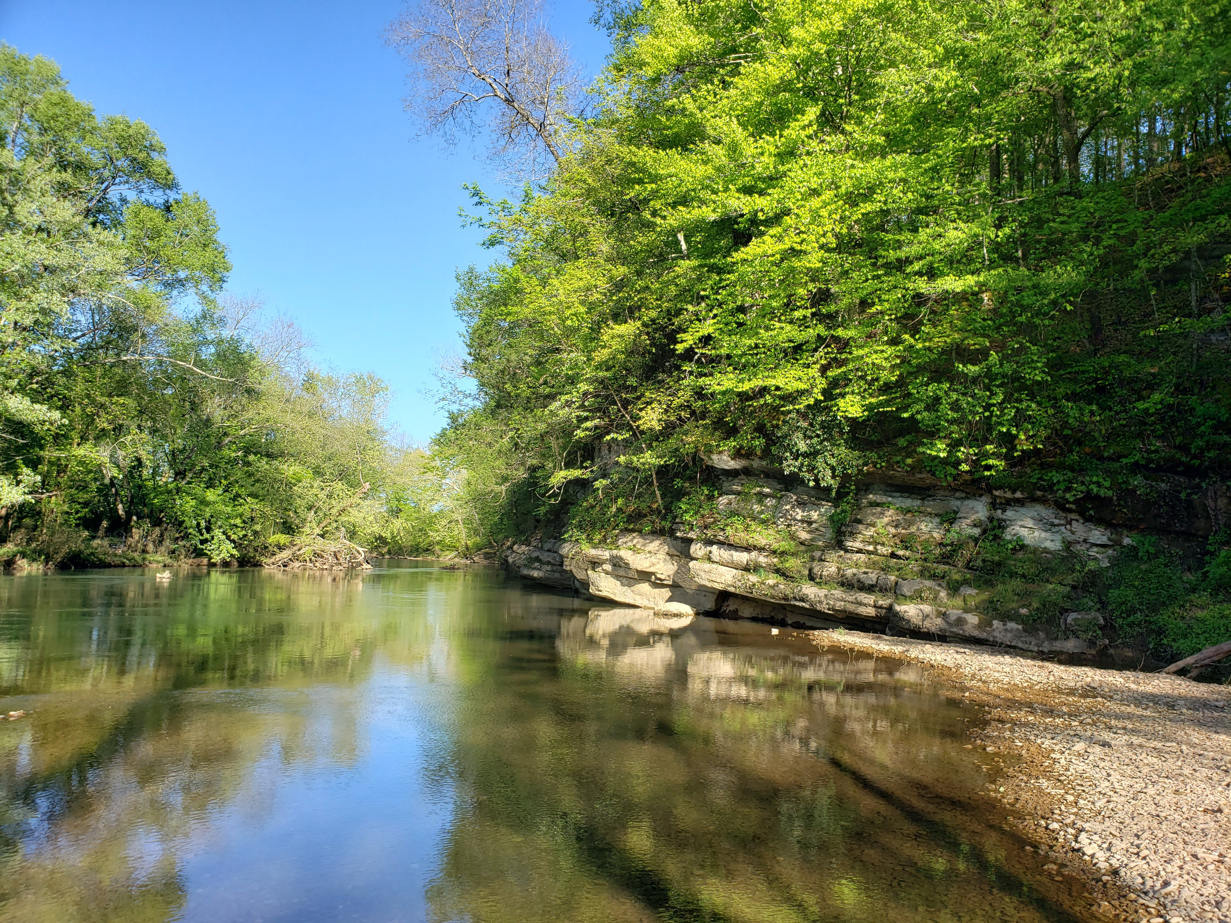 Primitive Camping & River Access | On The Buffalo | Tennessee