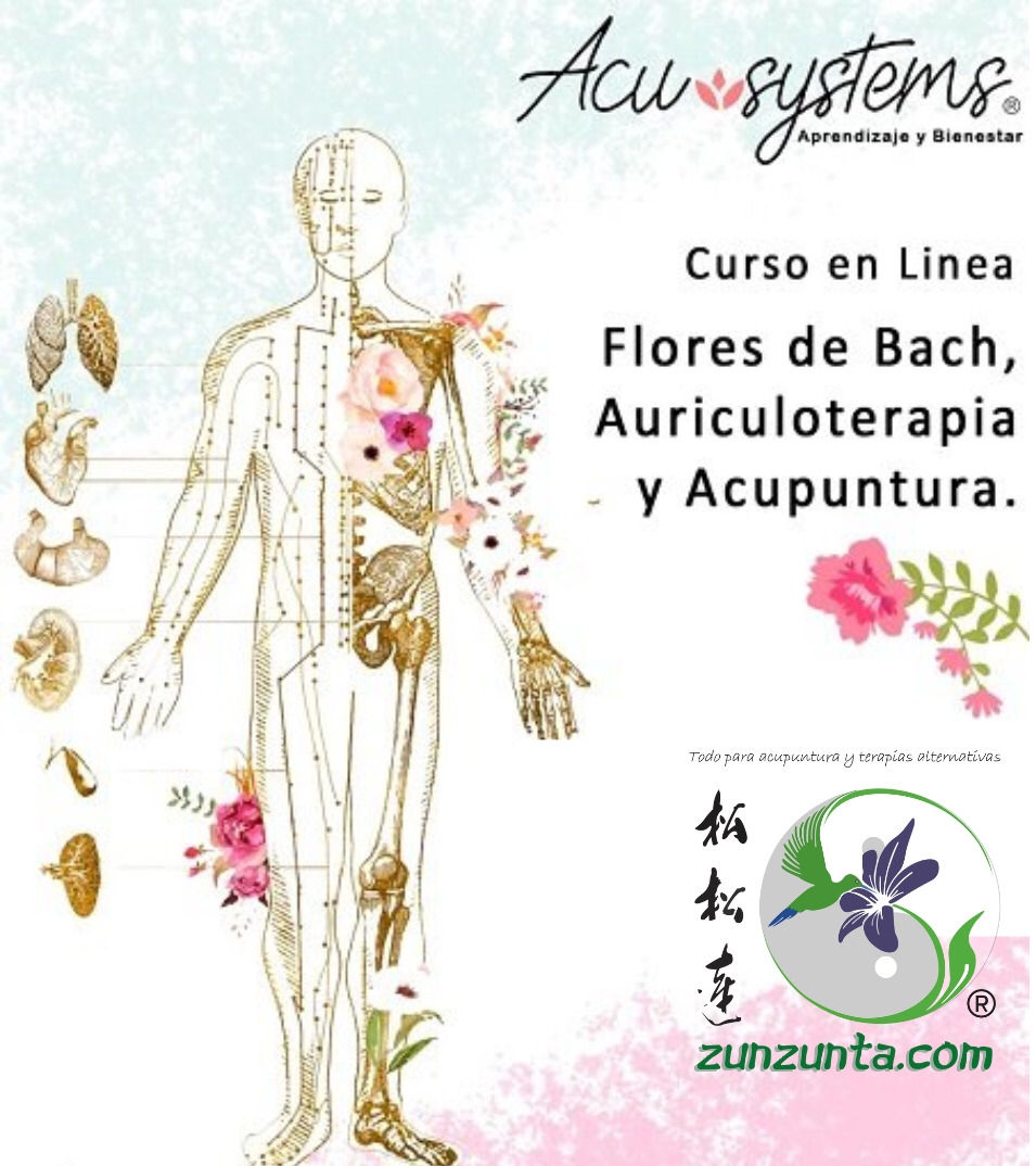 Servicios De Acupuntura En Mexico | Terapeutas Mexicanos De Acupuntura 2/43