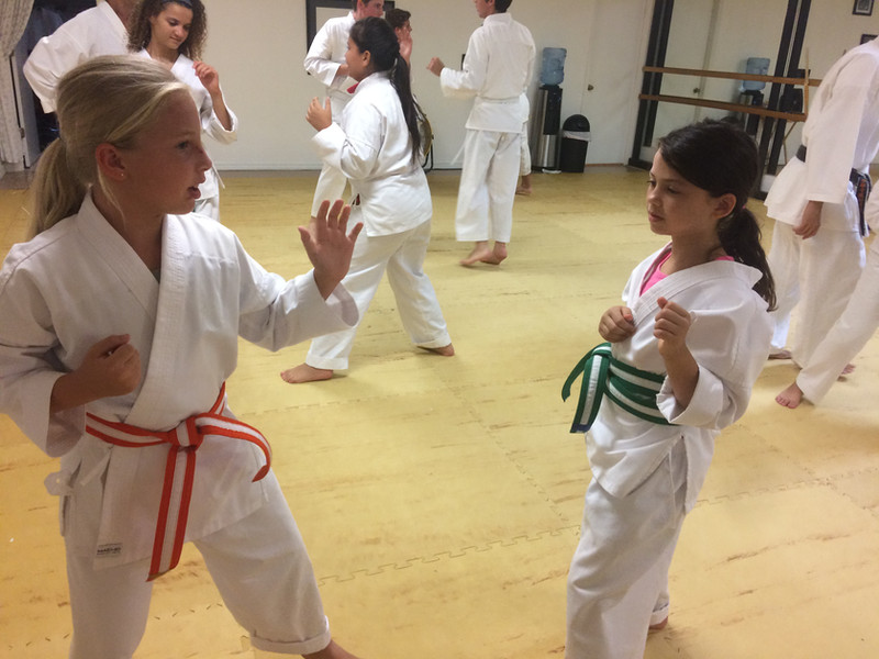 Home | Lake Placid Renshinkan Karate