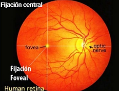 Test de Fijación y Ángulo Kappa | optonline