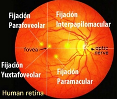 Test de Fijación y Ángulo Kappa | optonline
