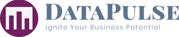 DataPulse | Business Analysis