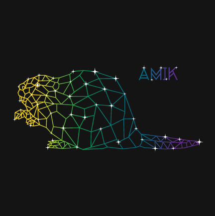 AMIK/BEAVER - Grandfather Teachings Tee | Nish Tees